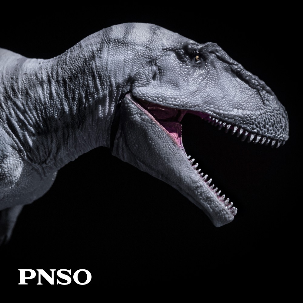 MERAXES GIGAS PNSO RÉPLICA DE DINOSSAURO CARNÍVORO MINIATURA DE PVC ...