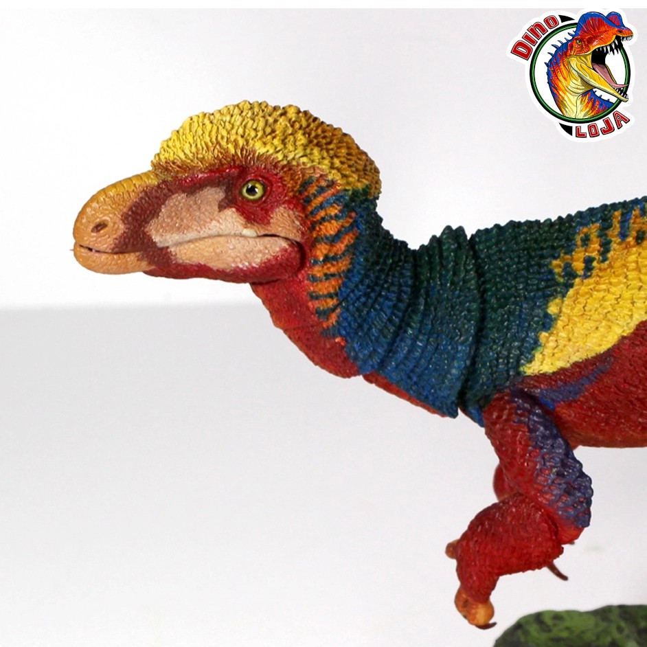 DILONG PARADOXUS BEASTS OF THE MESOZOIC DINOSSAURO ARTICULADO ...