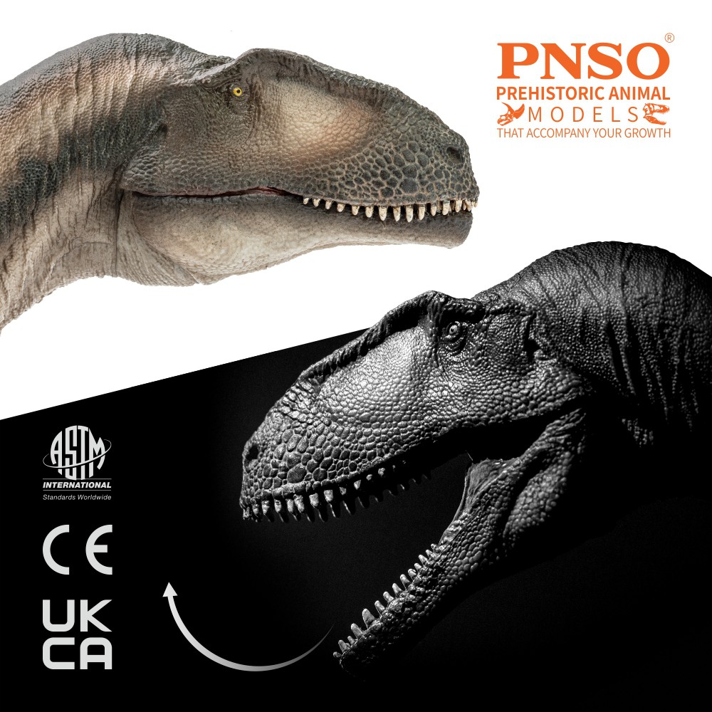 MAPUSAURUS PNSO "MILA" RÉPLICA DE DINOSSAURO CARNÍVORO MINIATURA DE P ...