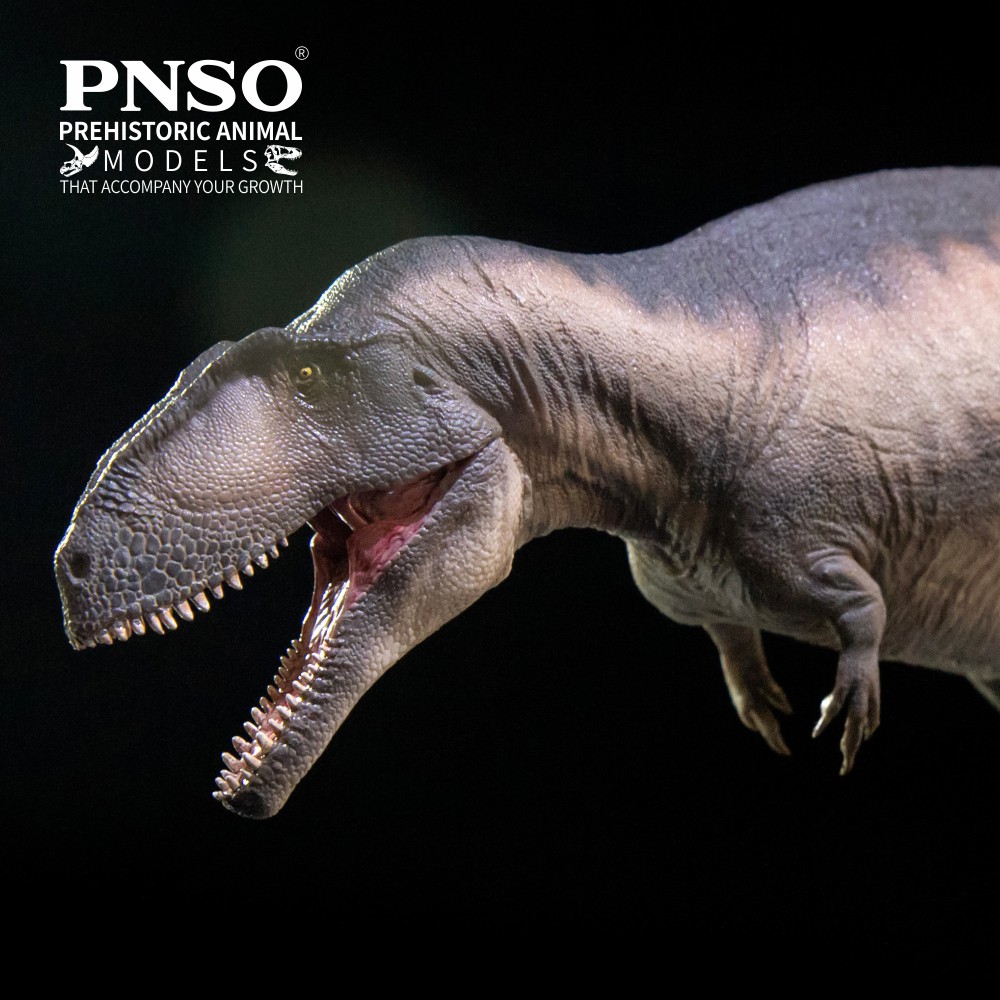 MAPUSAURUS PNSO "MILA" RÉPLICA DE DINOSSAURO CARNÍVORO MINIATURA DE P - Dinoloja - A melhor loja ...