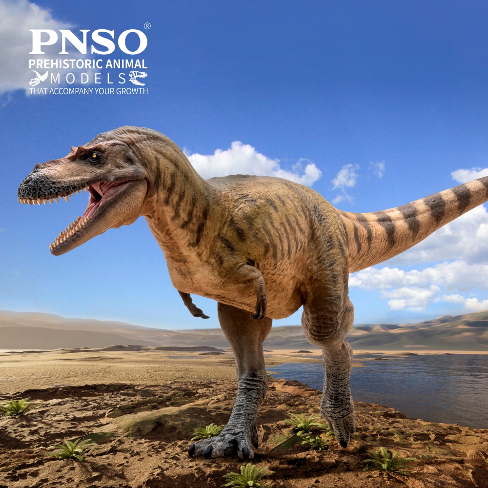 ALBERTOSAURUS PNSO "WALLY" RÉPLICA DE DINOSSAURO CARNÍVORO MINIATURA D ...