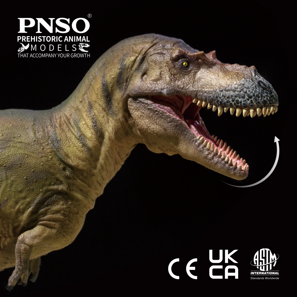 ALBERTOSAURUS PNSO "WALLY" RÉPLICA DE DINOSSAURO CARNÍVORO MINIATURA D ...