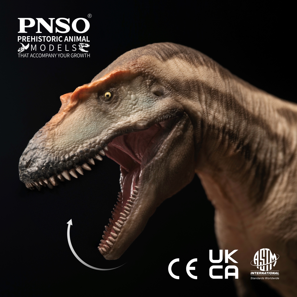 GORGOSAURUS PNSO "TRISTAN" RÉPLICA DE DINOSSAURO CARNÍVORO MINIATURA D ...