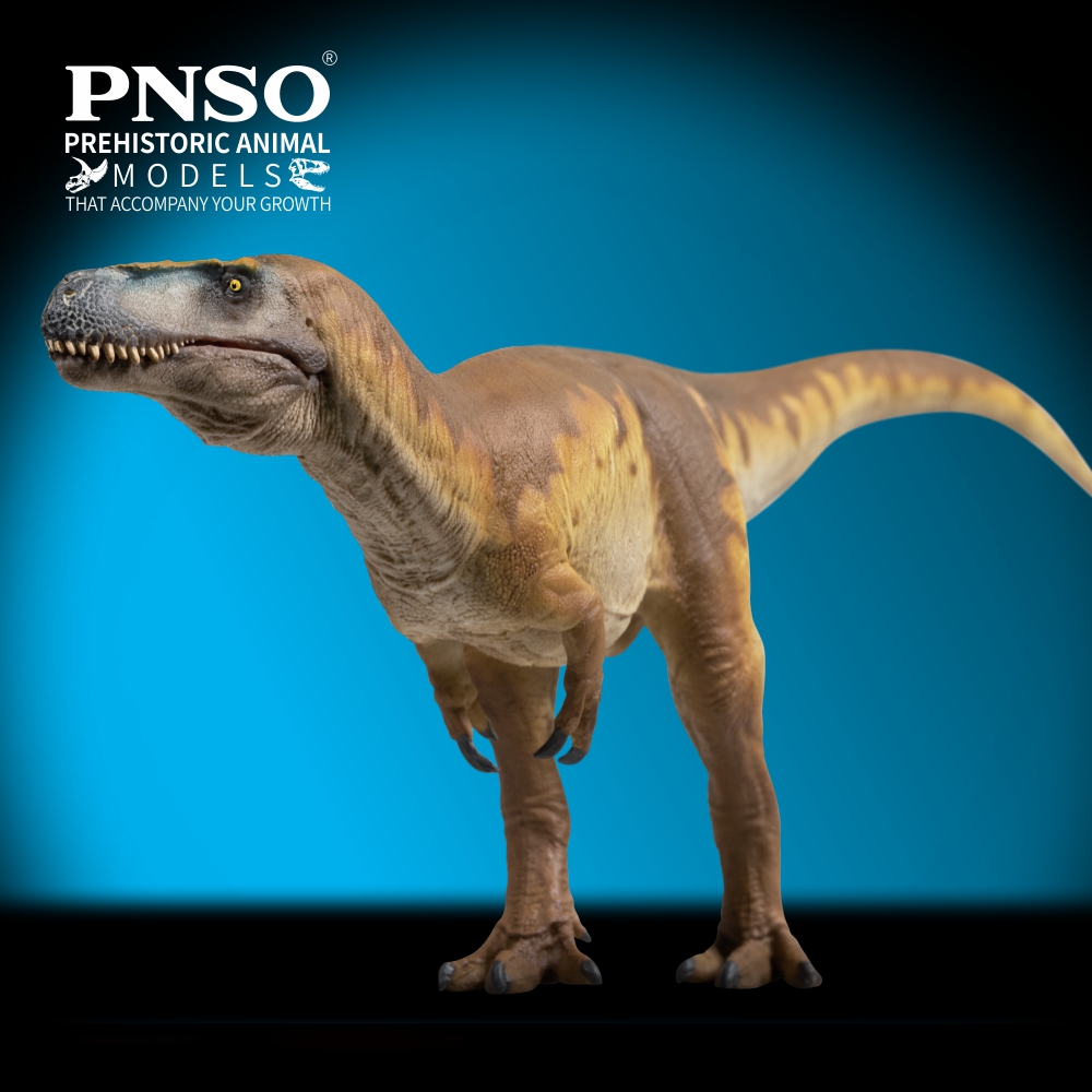 MEGALOSAURUS PNSO "EDWARD" RÉPLICA DE DINOSSAURO CARNÍVORO MINIATURA D ...