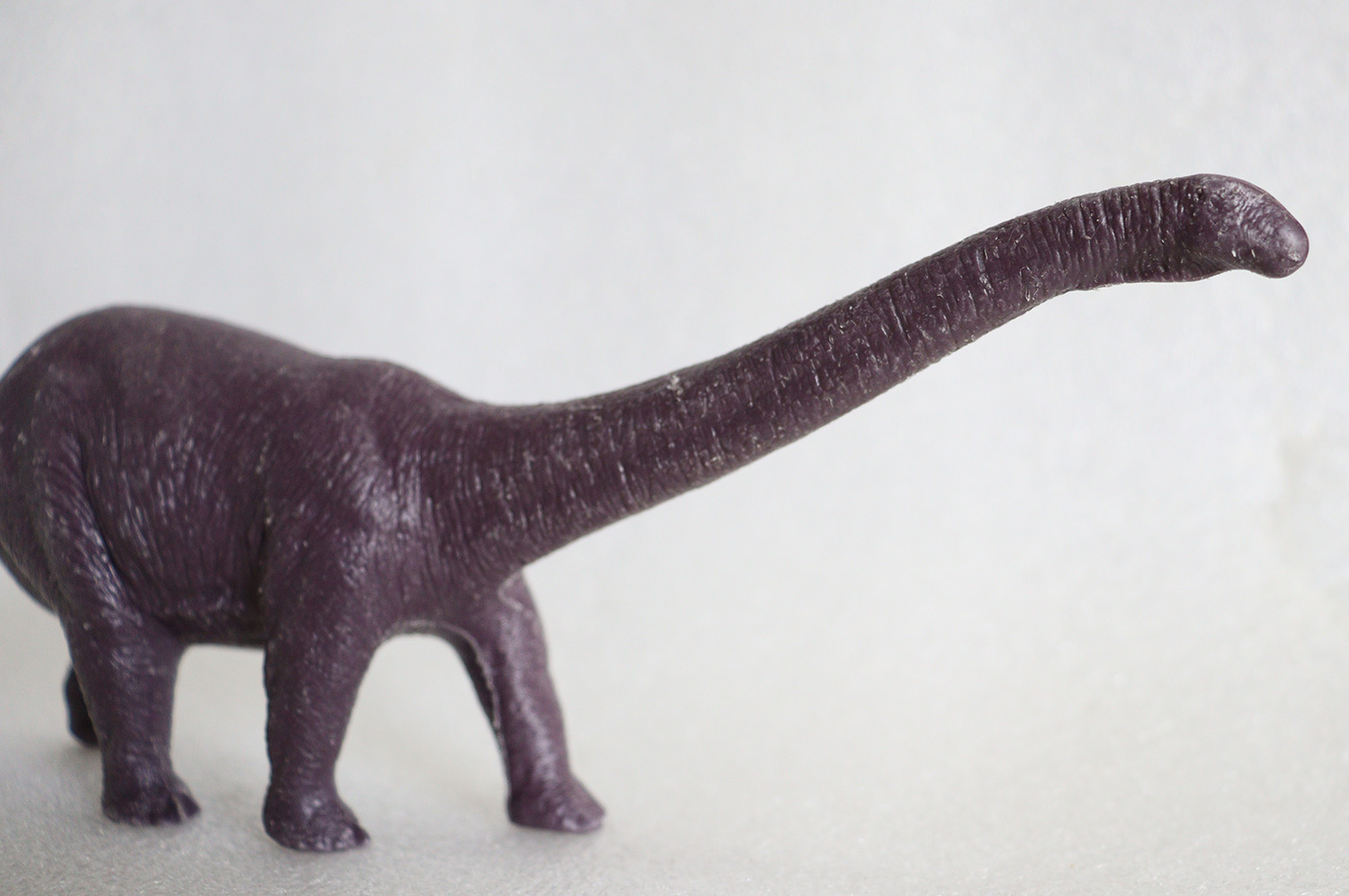 CETIOSAURUS INVICTA RARIDADE DINOSSAURO VINTAGE MUSEU BRITÂNICO ...