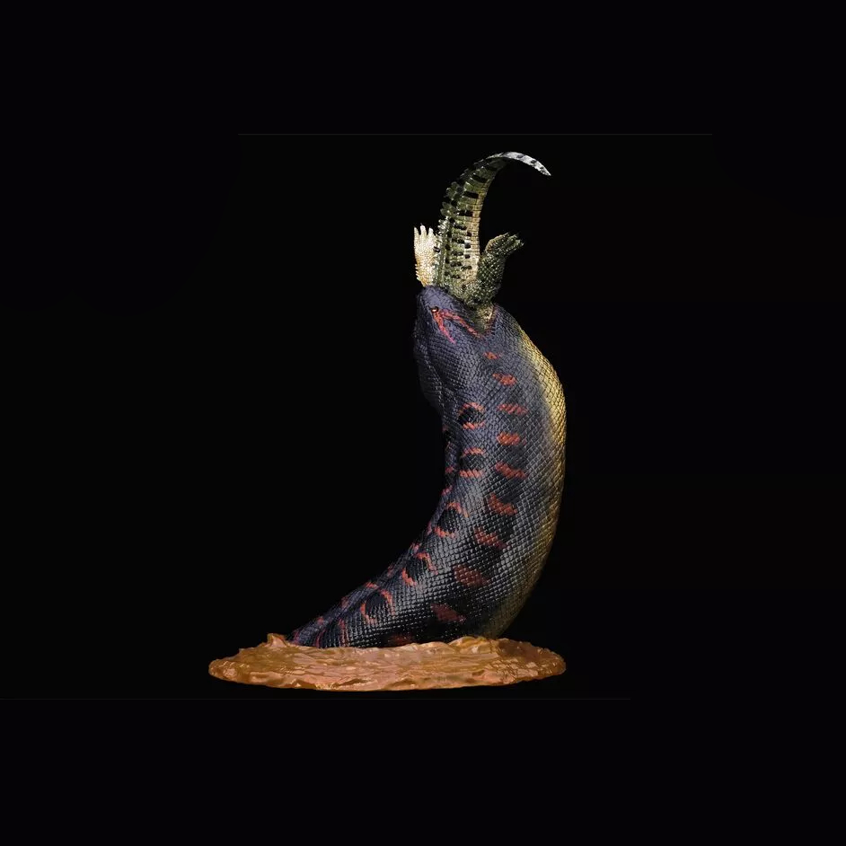 TITANOBOA "BRIAN" REBOR MINIATURA COBRA GIGANTE DEVORANDO CROCODILO ...