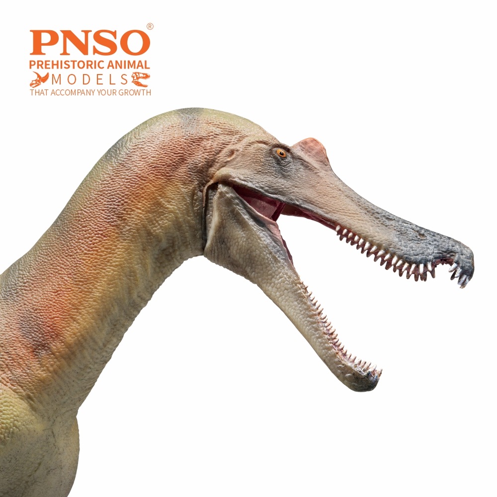 BARYONYX PNSO MINIATURA DINOSSAURO ESPINOSSAURÍDEO REALISTA - Dinoloja ...