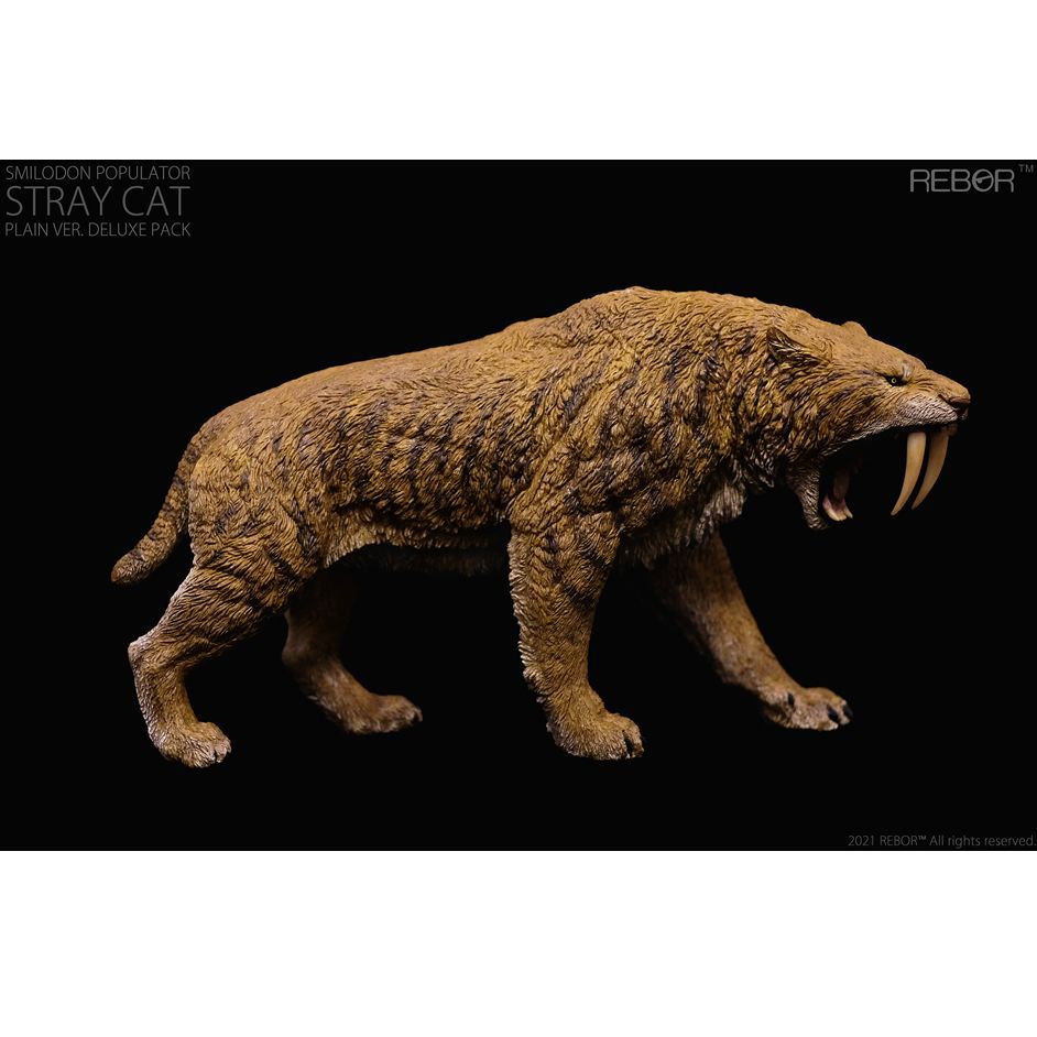 SMILODON POPULATOR REBOR STRAY CAT - VERSÃO PLANÍCIE - TIGRE-DENTES-DE ...