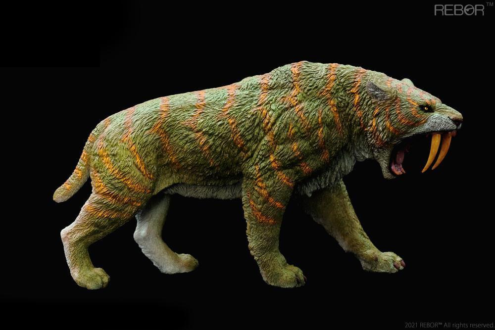 SMILODON POPULATOR REBOR STRAY CAT - VERSÃO VHS EXCLUSIVA PACATO ...