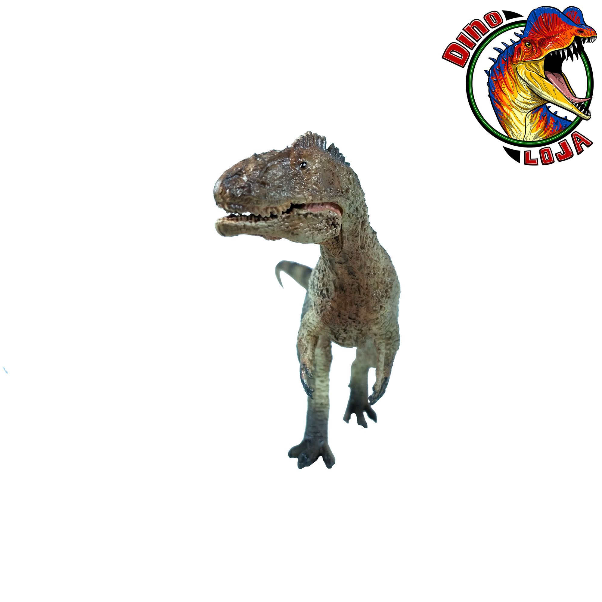 SINRAPTOR DONGI VITAE RÉPLICA DE DINOSSAURO PREDADOR COLECIONÁVEL DINO ...