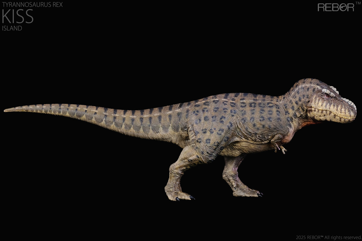 TYRANNOSAURUS REX KISS REBOR ILHA MINIATURA DE T-REX ACURADO CIENTIFIC - Dinoloja - A melhor ...