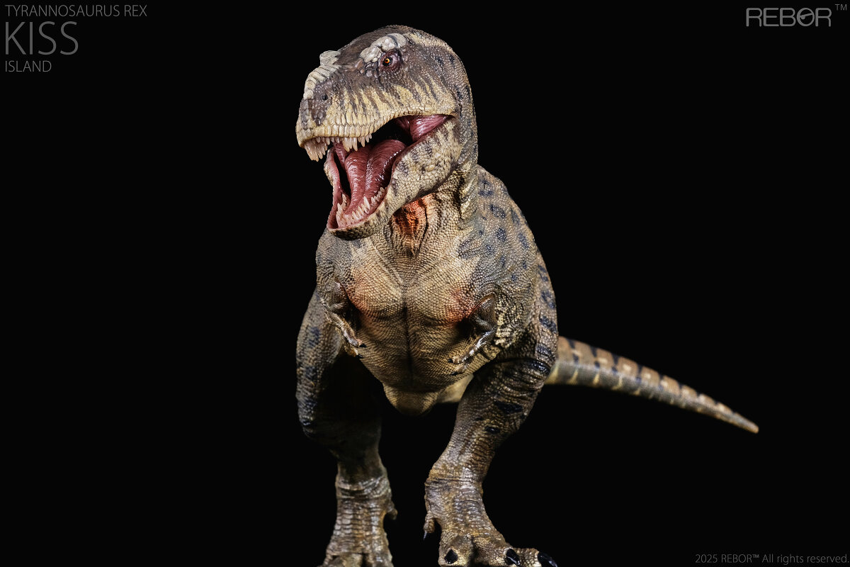 TYRANNOSAURUS REX KISS REBOR ILHA MINIATURA DE T-REX ACURADO CIENTIFIC - Dinoloja - A melhor ...