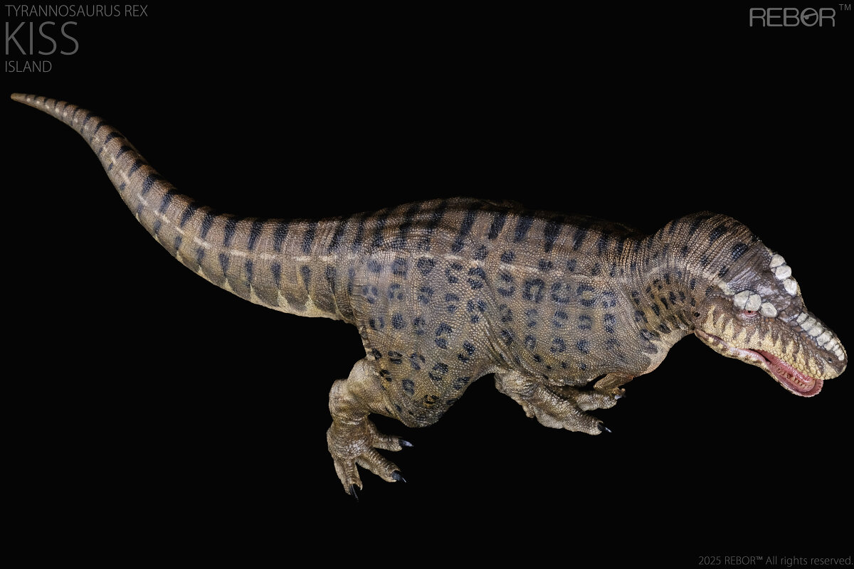TYRANNOSAURUS REX KISS REBOR ILHA MINIATURA DE T-REX ACURADO CIENTIFIC ...