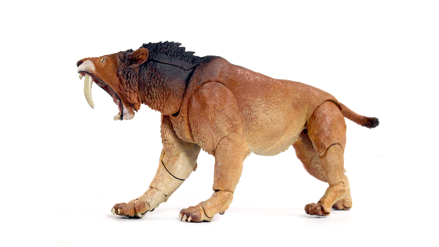SMILODON POPULATOR 1/18 BEASTS OF THE CENOZOIC TIGRE DENTES DE SABRE A ...