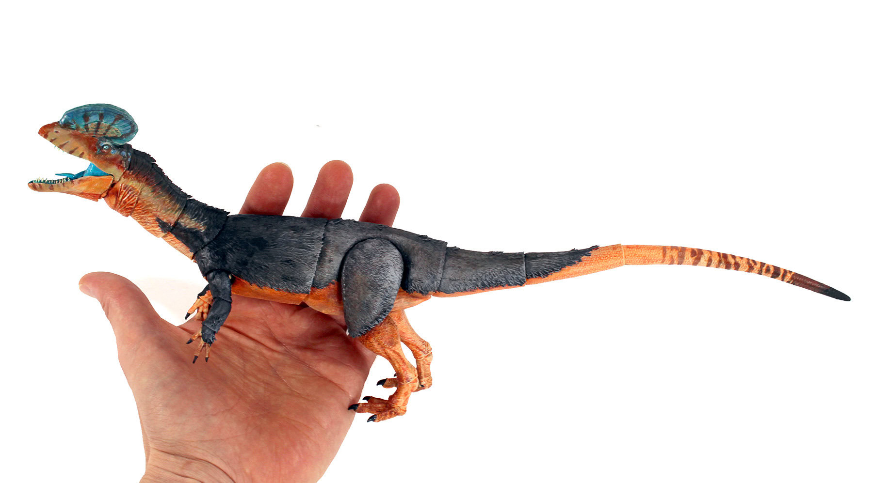 DILOPHOSAURUS 1/18 BEASTS OF THE MESOZOIC FIGURA DE DINOSSAURO DILOFOS - Dinoloja - A melhor ...