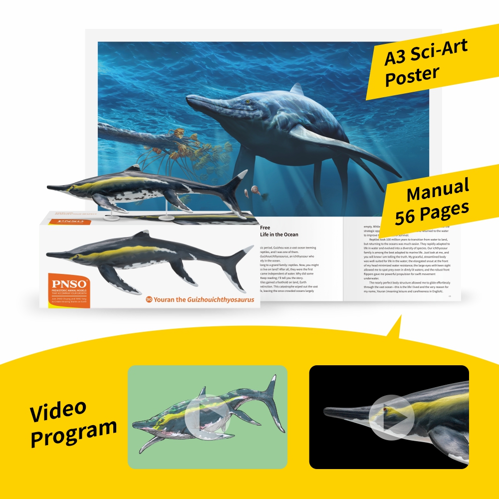 GUIZHOUICHTHYOSAURUS PNSO YOURAN RÉPLICA DE RÉPTIL MARINHO TRIÁSSICO ...