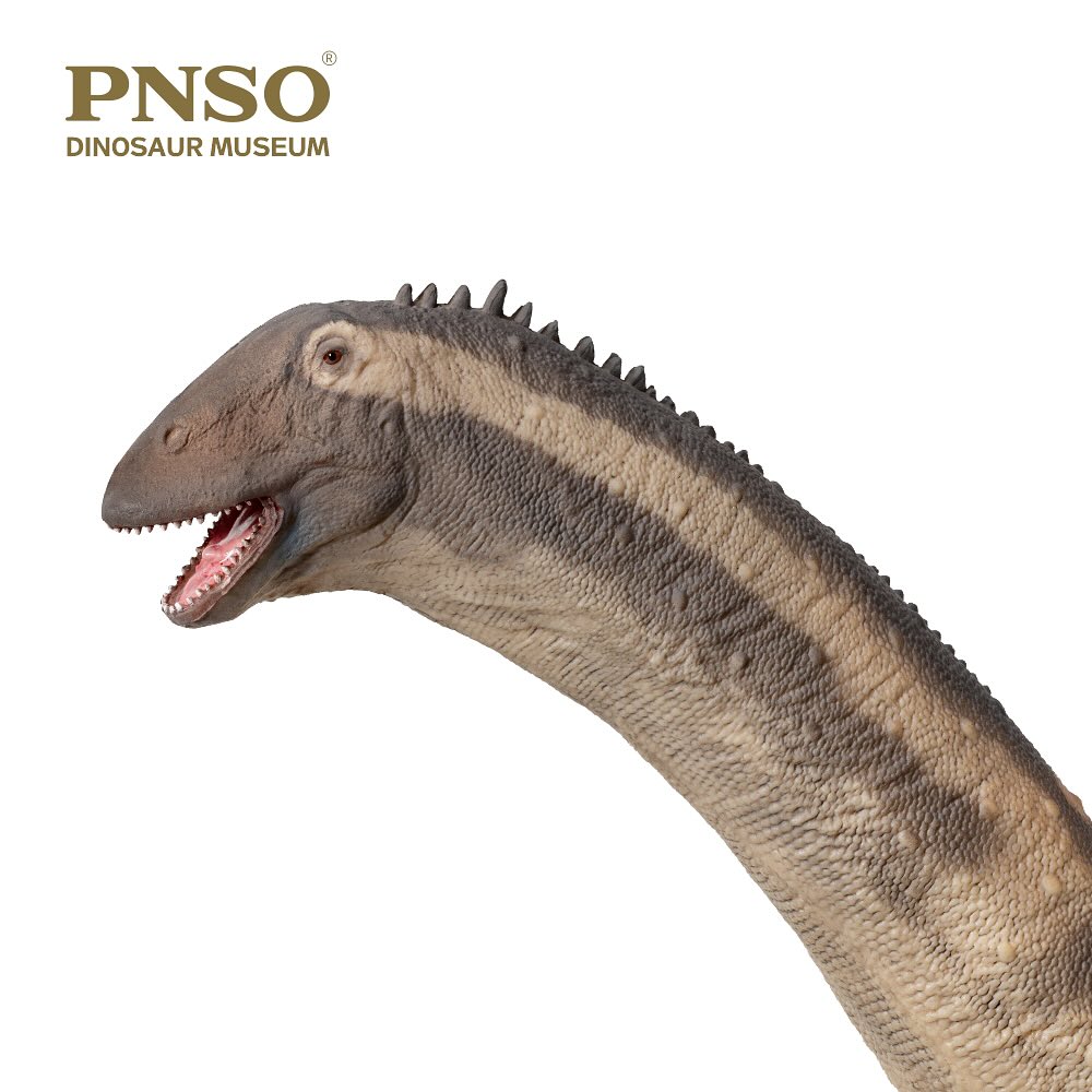 HONGKONGSAURUS PNSO "HUIGUI" RÉPLICA DE DINOSSAURO PESCOÇUDO MINIATURA ...
