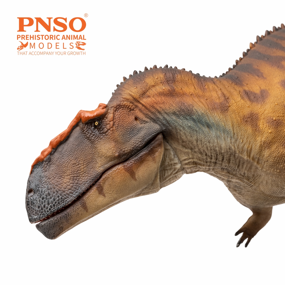 TAMERYRAPTOR PNSO "MAYER" RÉPLICA DE DINOSSAURO CARNÍVORO MINIATURA DE ...
