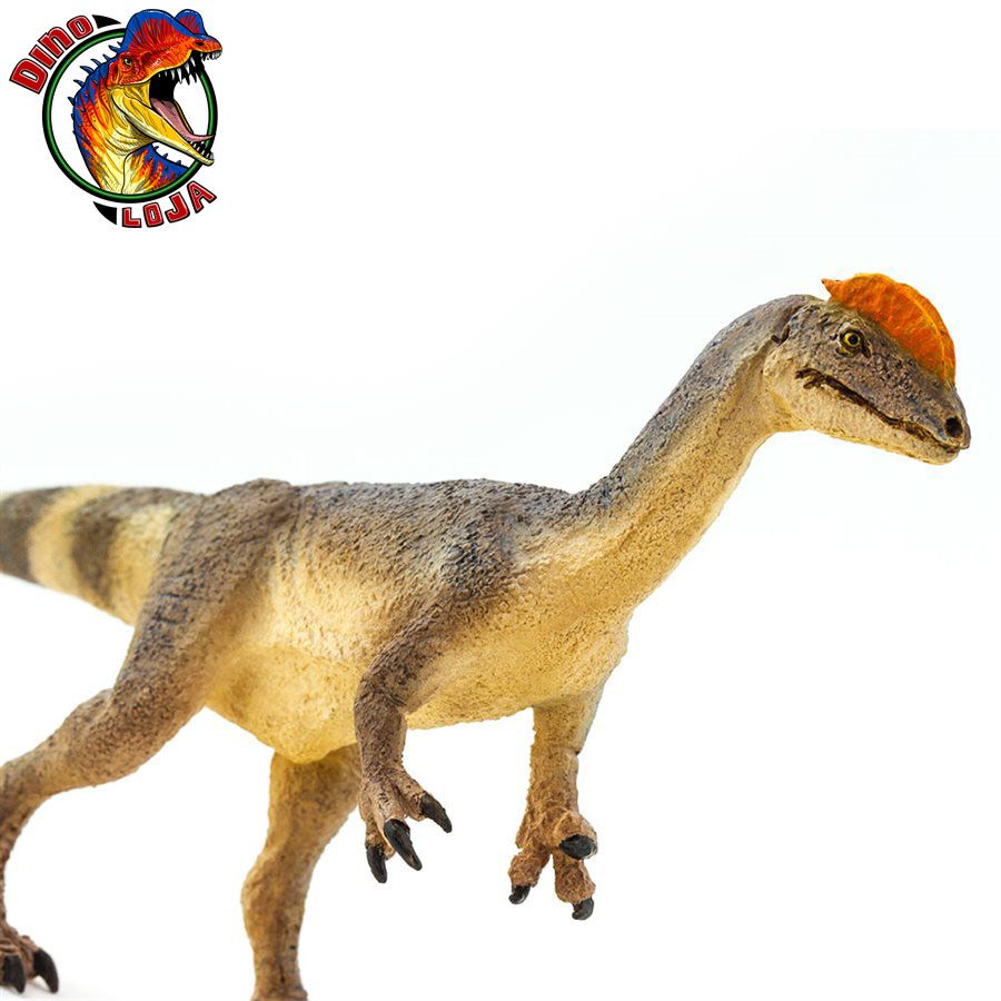 DILOPHOSAURUS WILD SAFARI 2020 MINIATURA DE DINOSSAURO RÉPLICA EDUCATI ...