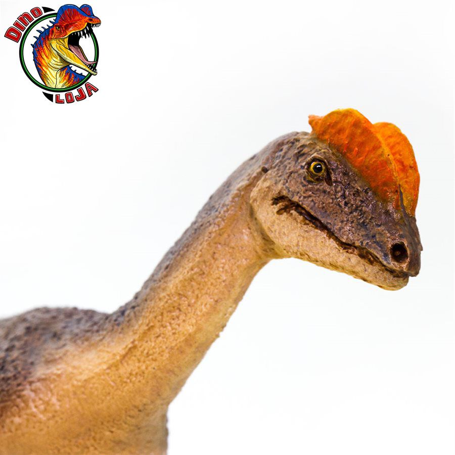 DILOPHOSAURUS WILD SAFARI 2020 MINIATURA DE DINOSSAURO RÉPLICA EDUCATI ...