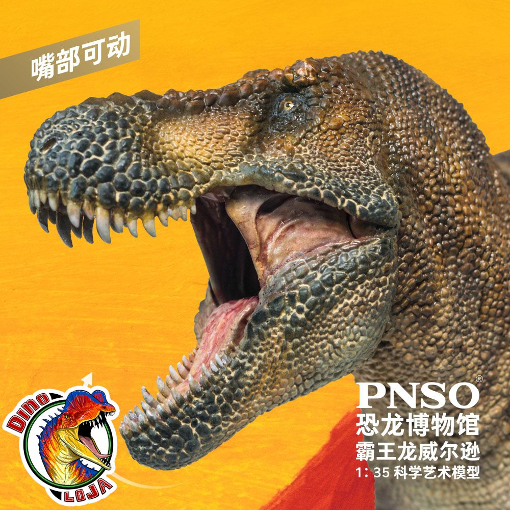 TIRANOSSAURO REX WILSON 2020 PNSO MINIATURA RÉPLICA DE DINOSSAURO DE ...