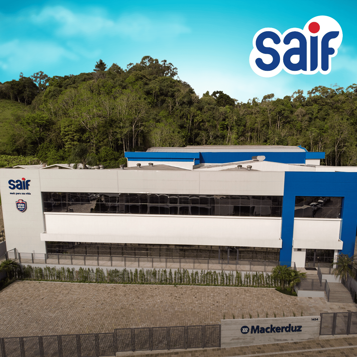 Limpa Box Sachê Saif 300Ml, Saif, Limpador De Banheiro Sachê, Azul E ...