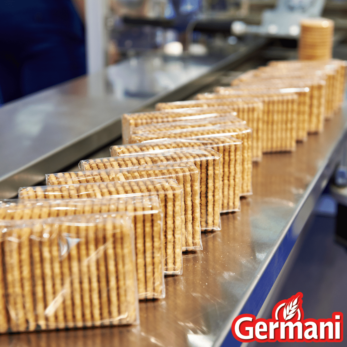 Biscoito Butter Cracker Germani 345G, Germani Alimentos, Biscoito ...
