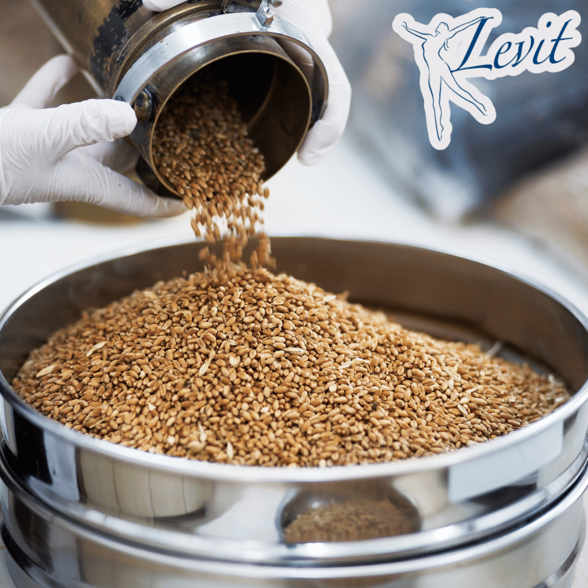 Macarrão Parafuso Integral Levit 500G, Sem Colesterol, Vegano, Fonte de Proteínas E Fibras ...