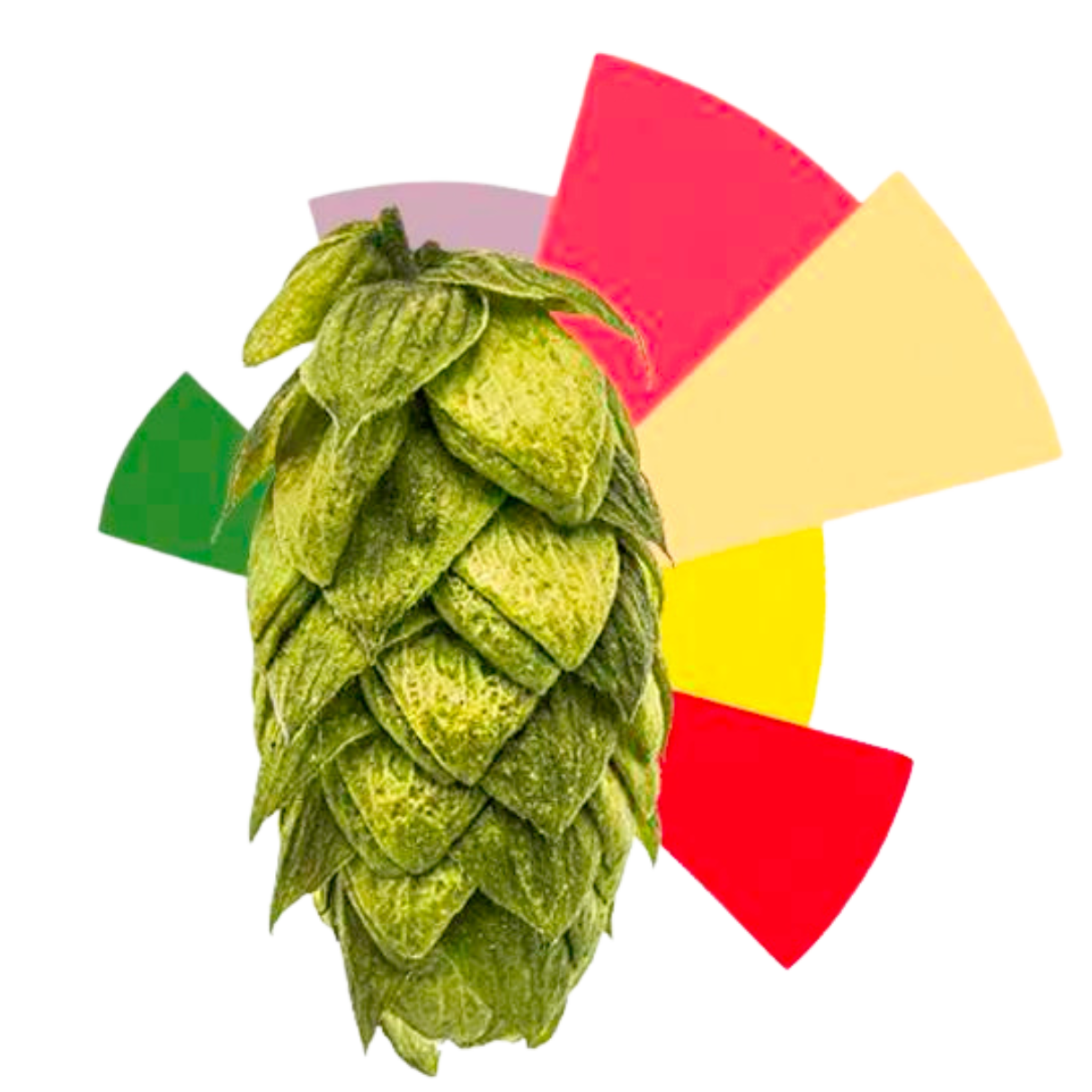 Extrato de Lúpulo SPECTRUM CITRA 20G - Craft Beer Brew Shop cerveja ...