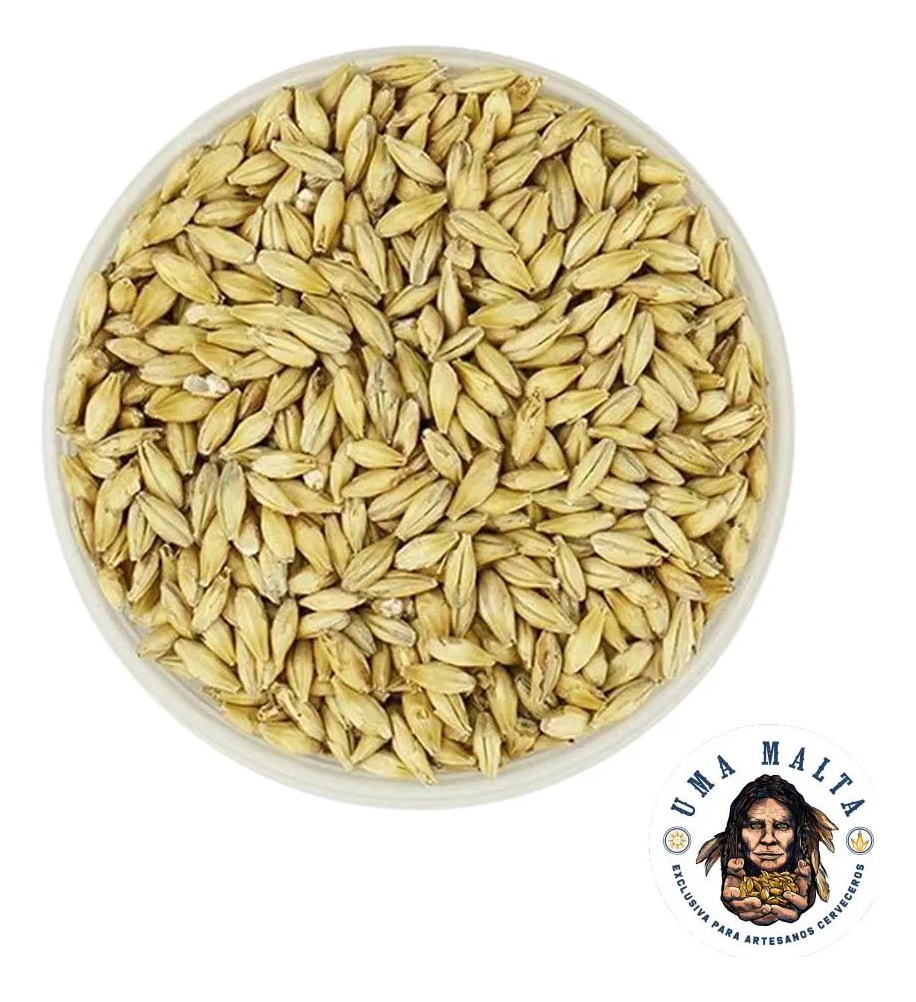 Malte Uma Malta Pilsen (El Jaguar Genuino) - SACA FECHADA 25 Kg - Craft ...