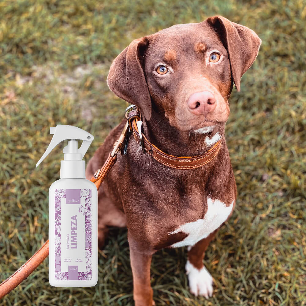 Spray de Limpeza Vetfleur Limpa Patinhas e Corpo Caes 250ml - Petshop ...