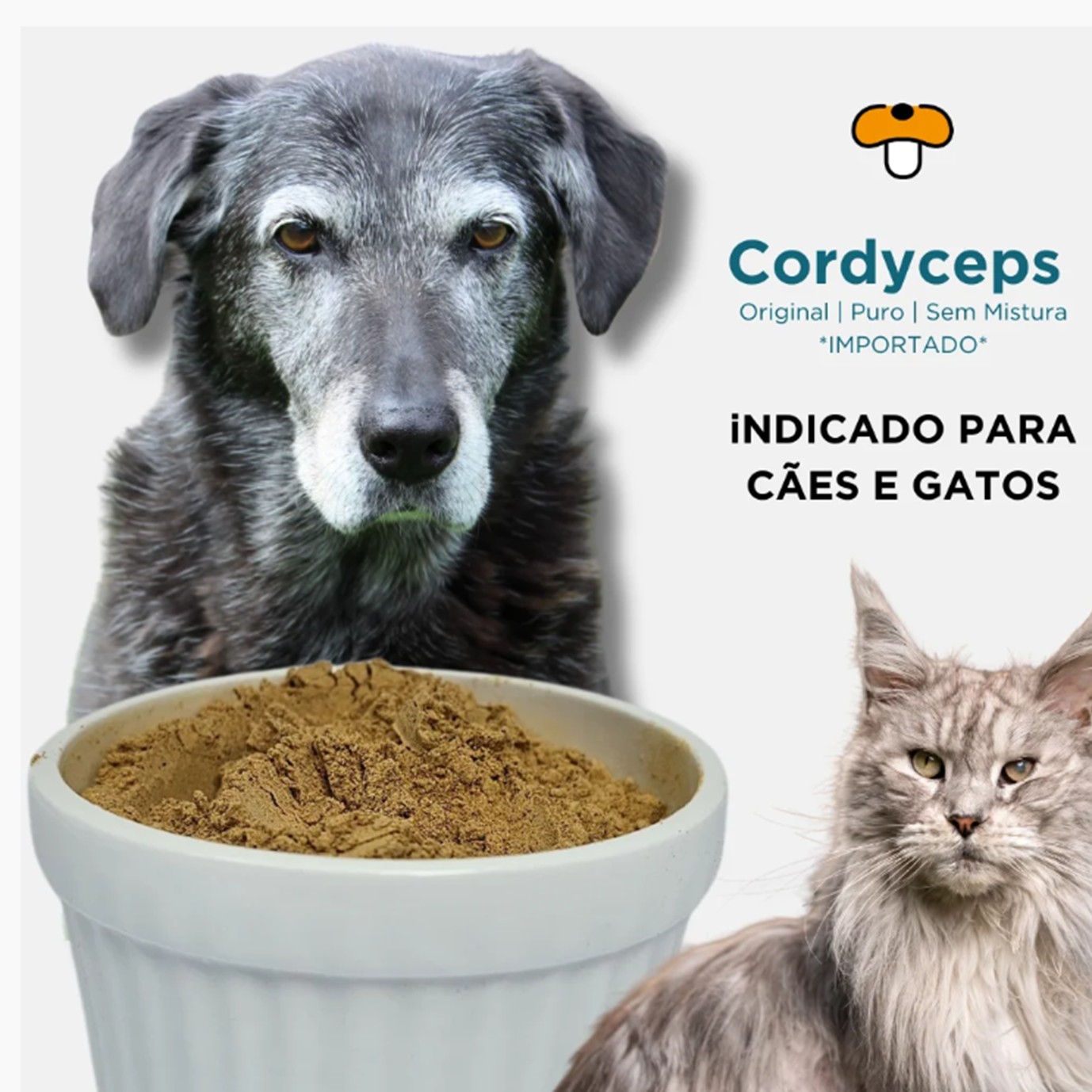 Suplemento de Cogumelo p/ Aumento de Imunidade em Pets | Zenpet Brasil - Petshop Online com ...