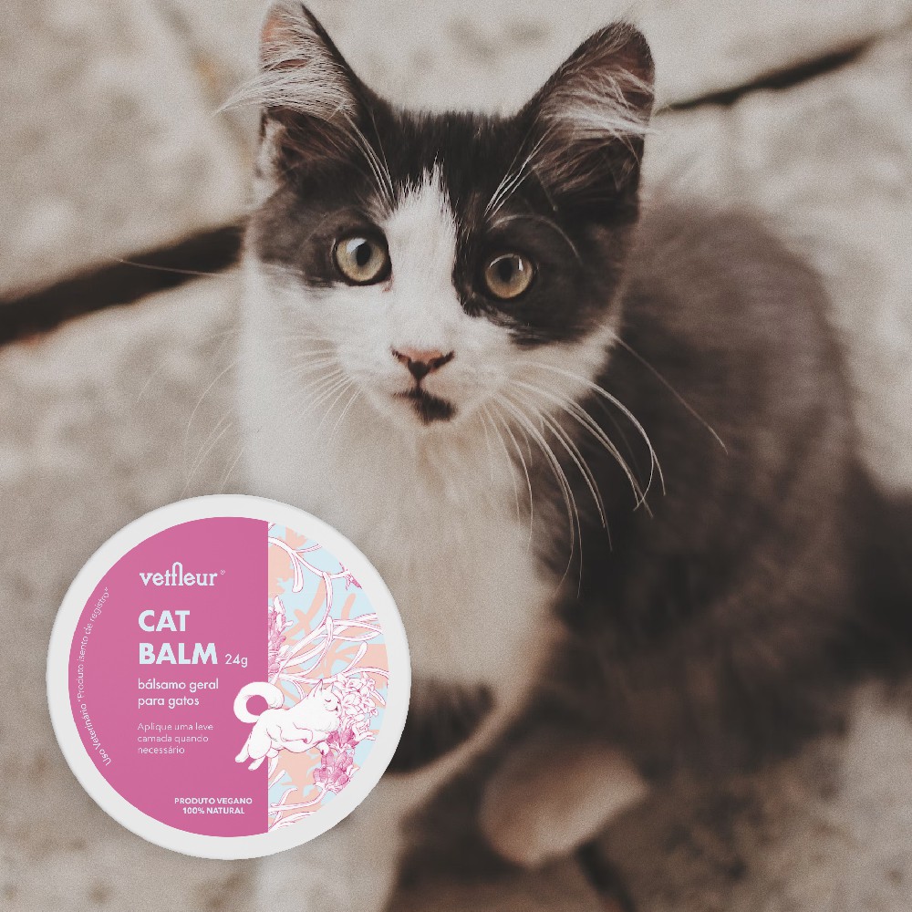 Bálsamo para Gatos Natural Cat Balm 24g Vetfleur - Petshop Online com ...