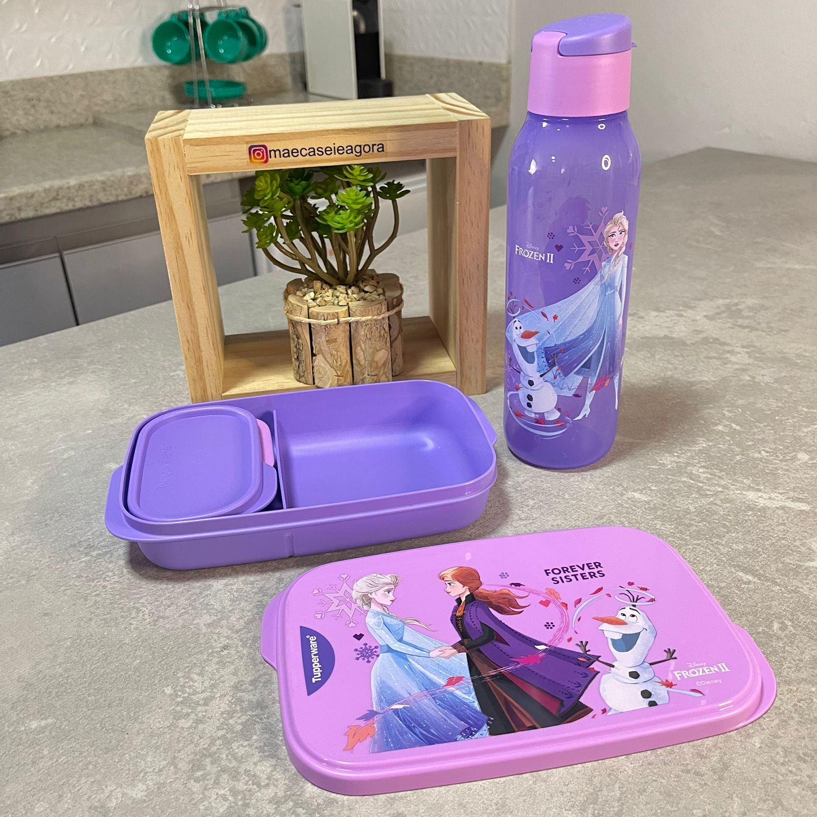 Tupperware Kit Frozen 3 pcs - Mãe, Casei e Agora?-Tupperware!