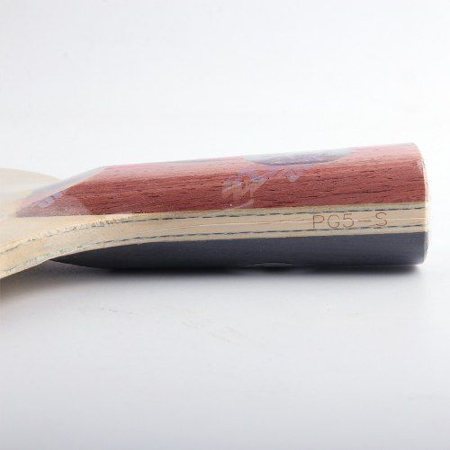 Raquete Clássica DHS - Power PG5 Arylate Carbon - Tênis de Mesa Store ...