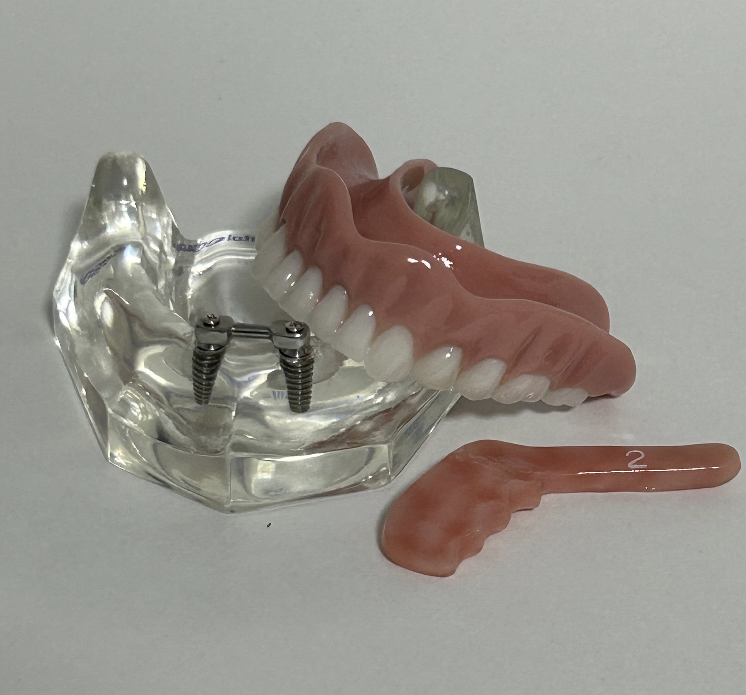 Manequim Modelo Odontológico Overdenture Barra Clipe Inferior 2 ...