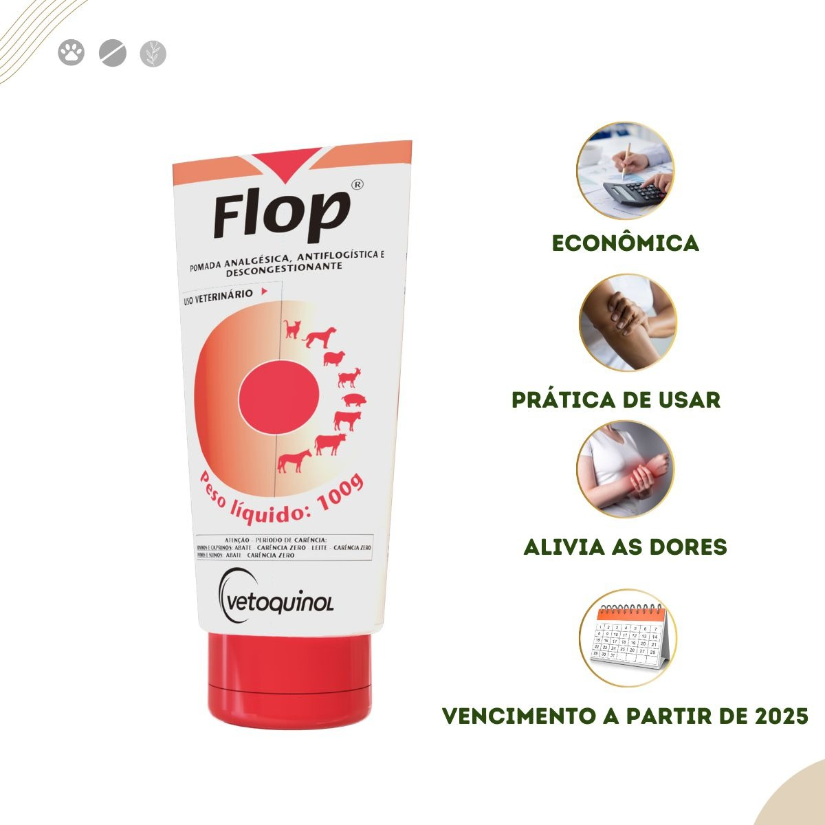 Pomada Flop 100g Analgésica Anti-inflamatória Pomada Cavalo - Sens ...