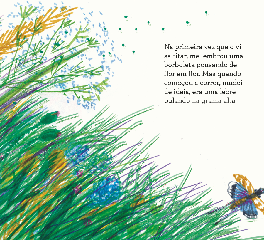 Merlin - Allegra Agliardi - Loja Virtual Edelbra Editora