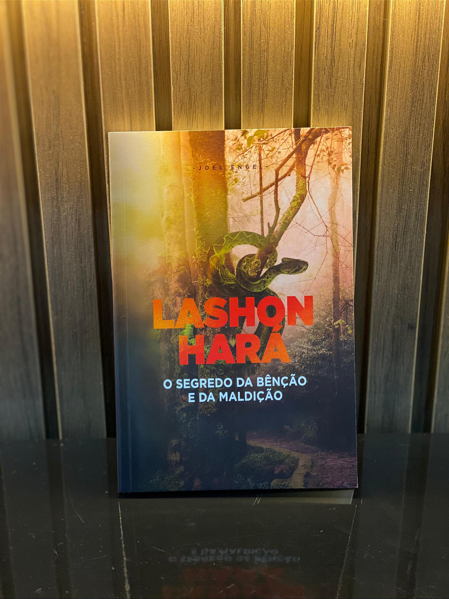 Livro Lashon Hara - Joel Engel - geracaojubilar