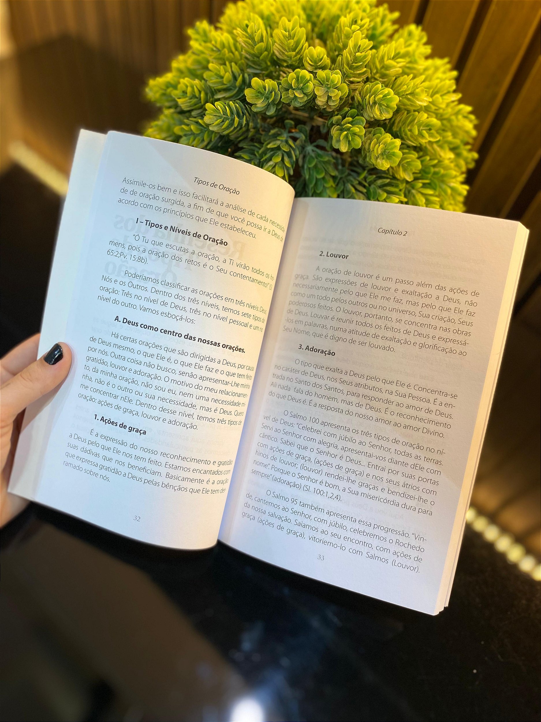 Livro Tipos De Oração Valnice Milhomens Geracaojubilar