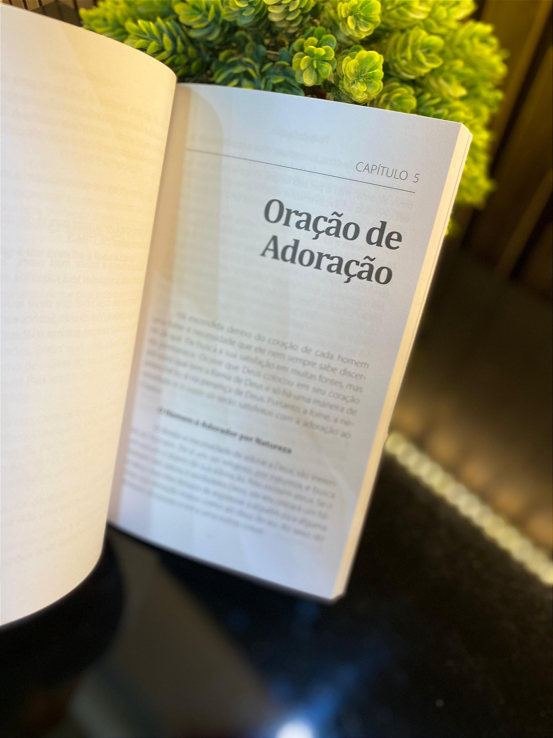 Livro Tipos De Oração Valnice Milhomens Geracaojubilar