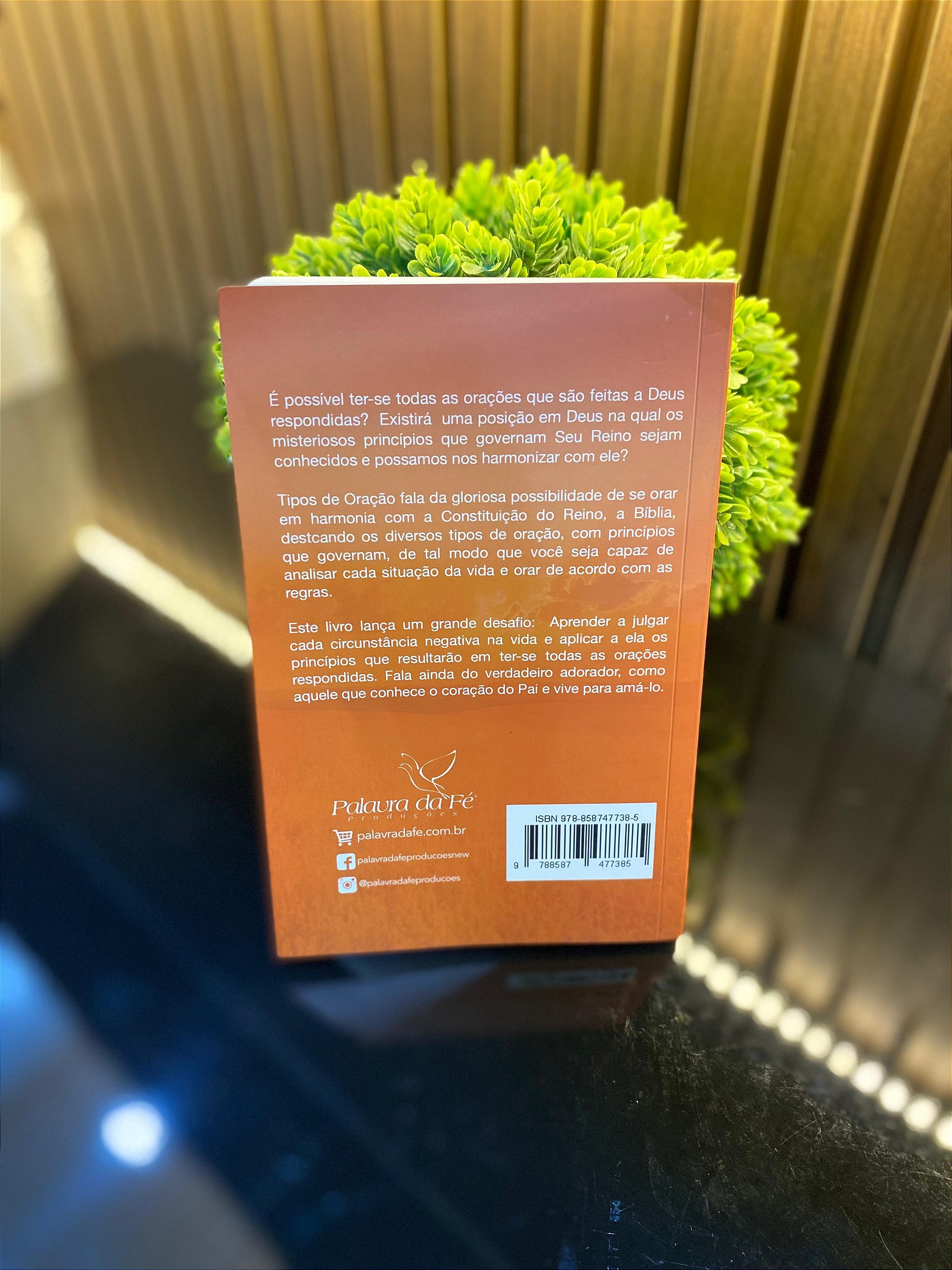 Livro Tipos De Oração Valnice Milhomens Geracaojubilar