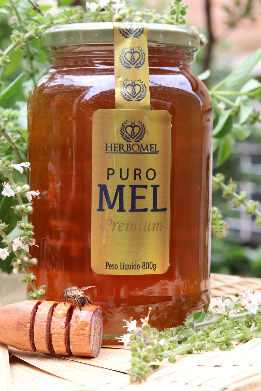 Mel Puro de Abelhas Premium 800g Silvestre HerboMel Natural - HerboMel ...
