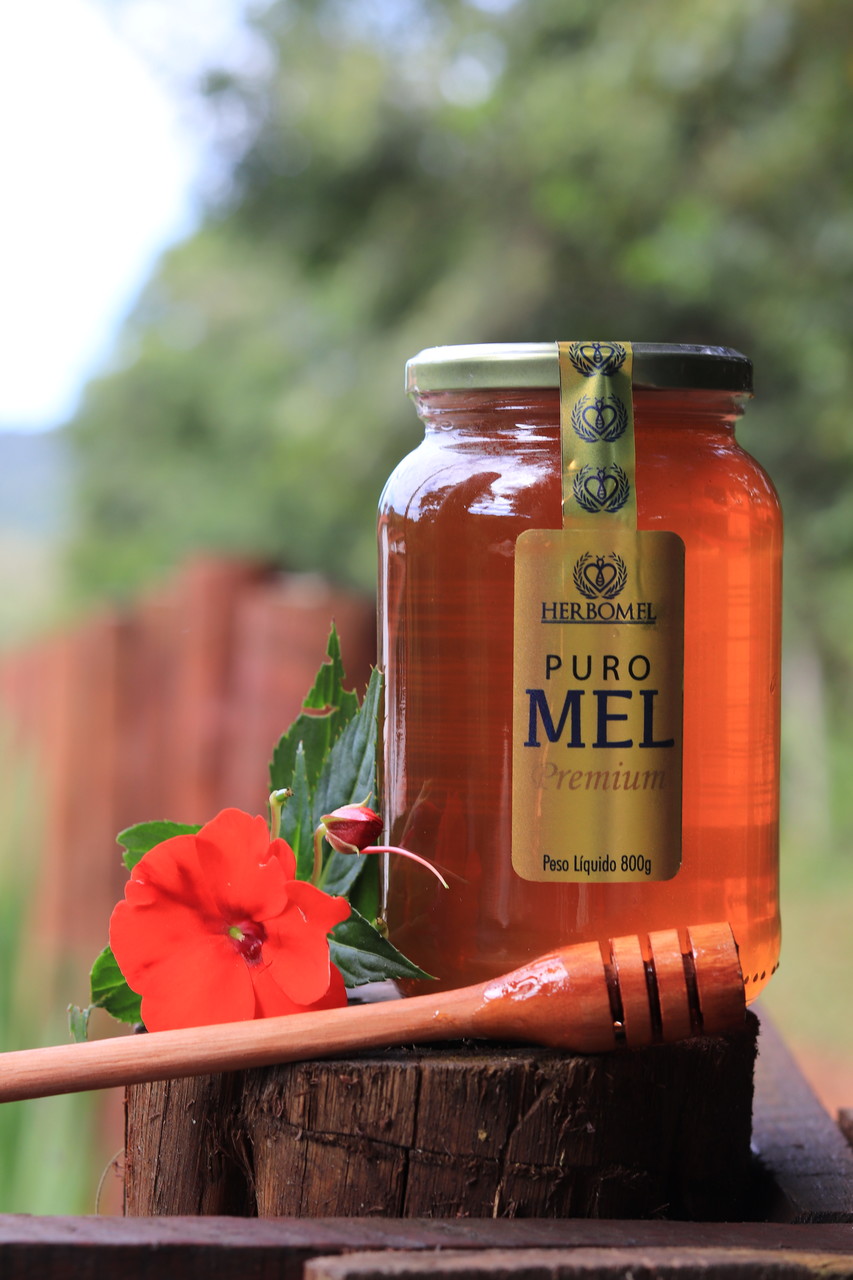 Mel Puro de Abelhas Premium 800g Silvestre HerboMel Natural - HerboMel ...