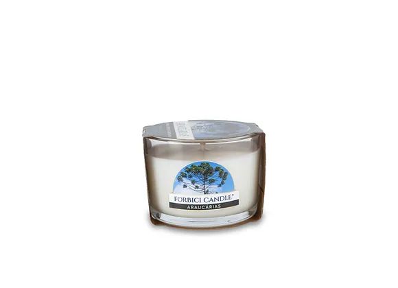 VELA FORBICI SIGNATURE - CANDLE ARAUCARIAS 100G - Raffaello Presentes e ... VELA FORBICI SIGNATURE - CANDLE ARAUCARIAS 100G - Raffaello Presentes e ...