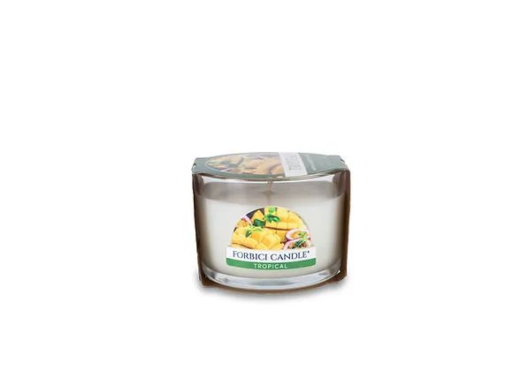 VELA FORBICI SIGNATURE - CANDLE TROPICAL 100G - Raffaello Presentes e ... VELA FORBICI SIGNATURE - CANDLE TROPICAL 100G - Raffaello Presentes e ...
