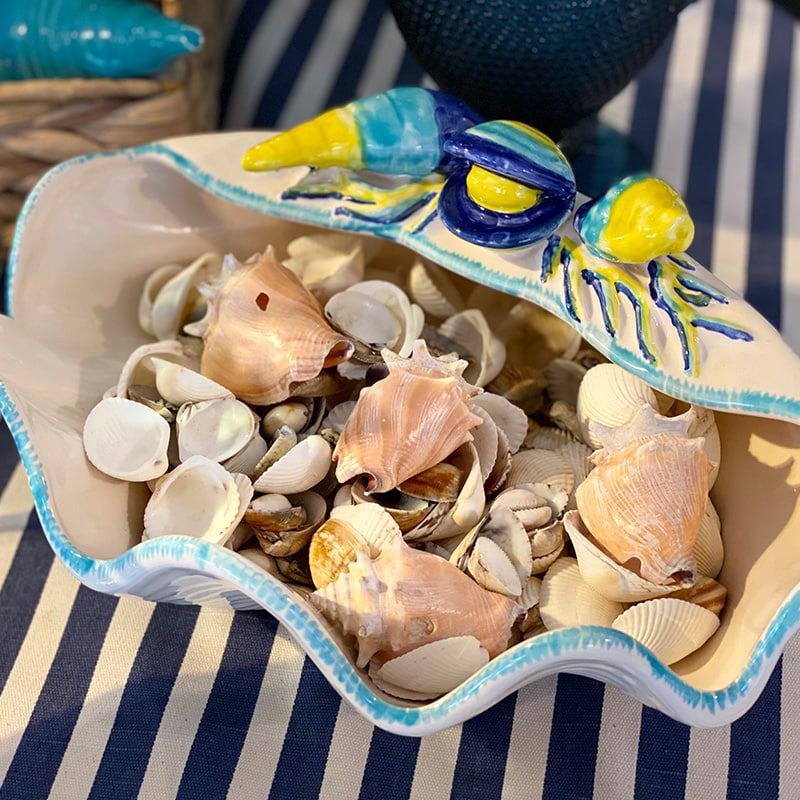 CONCHA CRUSTACEO RELEVO ILHA BELA CERAMICA LUIZ SALVADOR - Raffaello ...