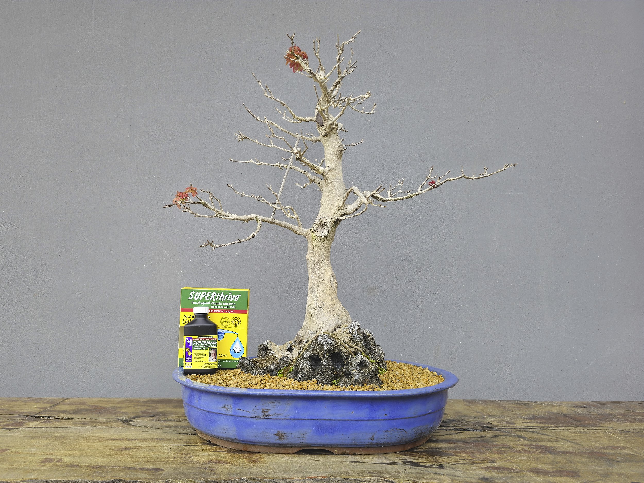 SUPERthrive Original - Yama-en Bonsai | Comprar Bonsai Online | Insumos | Ferramentas | Vasos