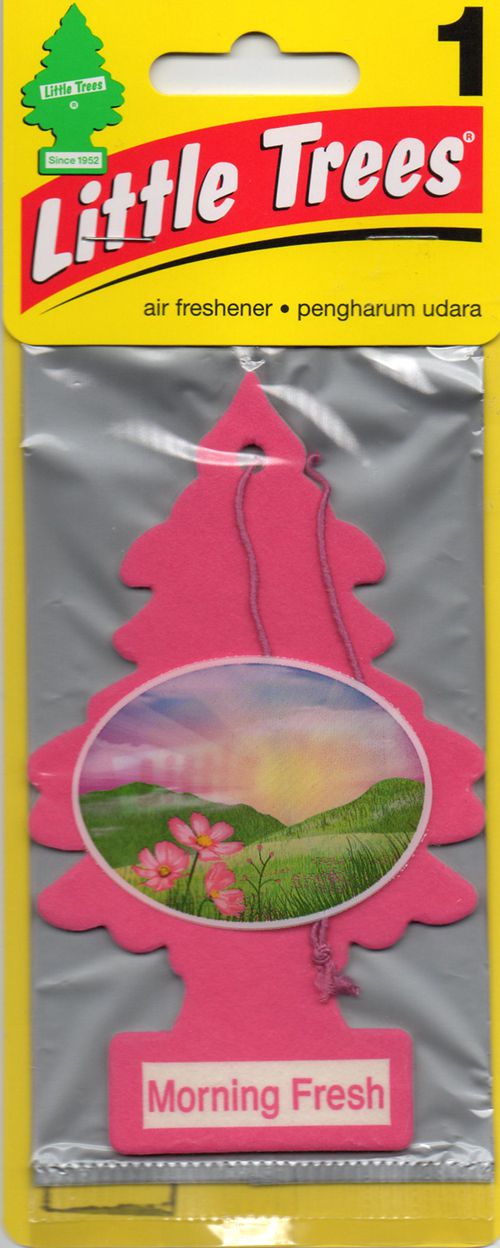 Little Trees Morning Fresh (Aroma de manhã fresca) - Little Tree ...