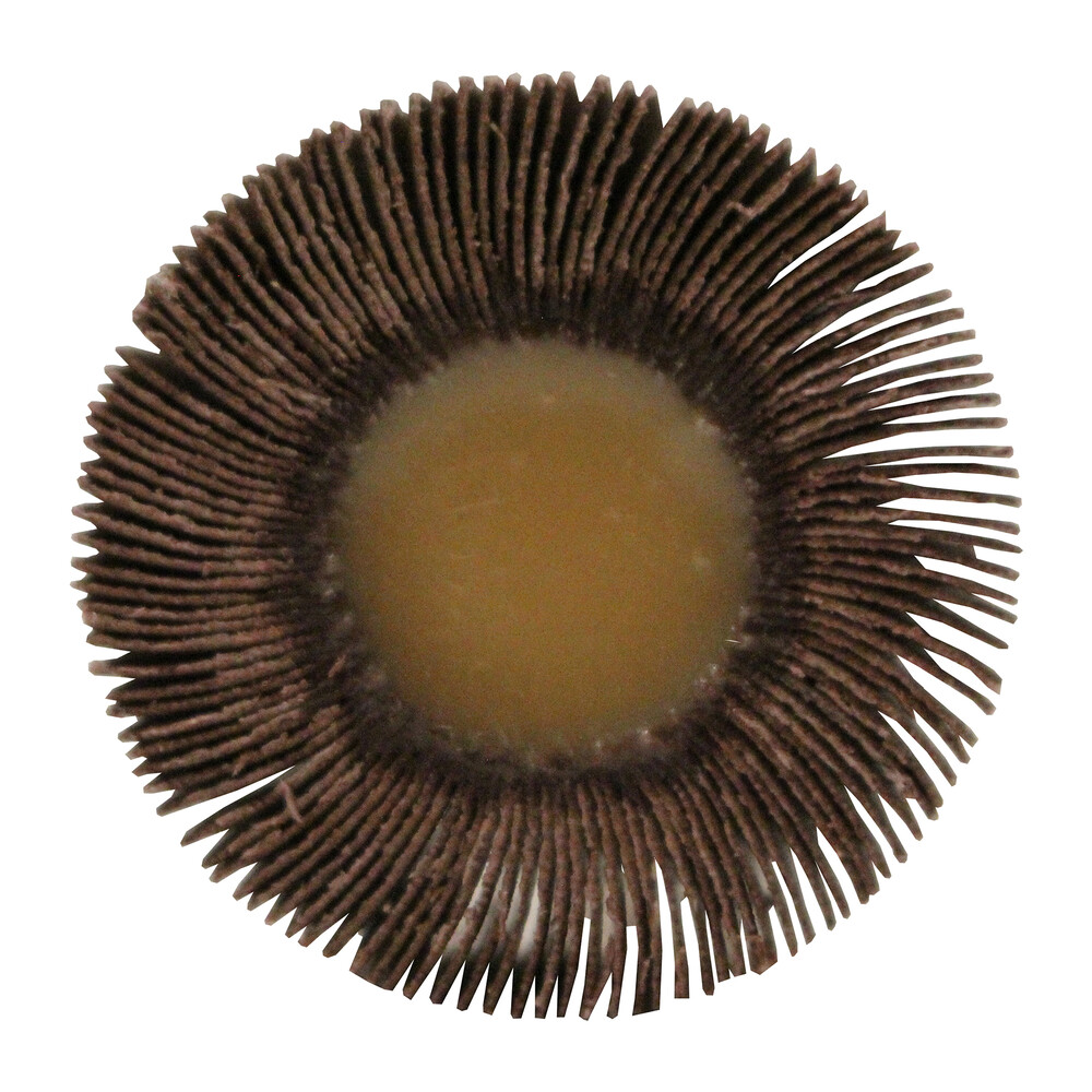 Caixa com 10 Roda de Lixa Flap PG Mini Kontour MK com Haste R369 Grão ...